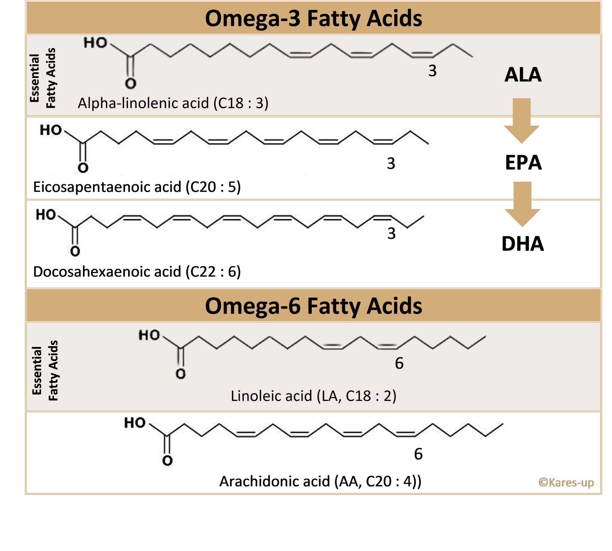Focus on Food supplement ingredients N°6: Omega 3 - Kares-up